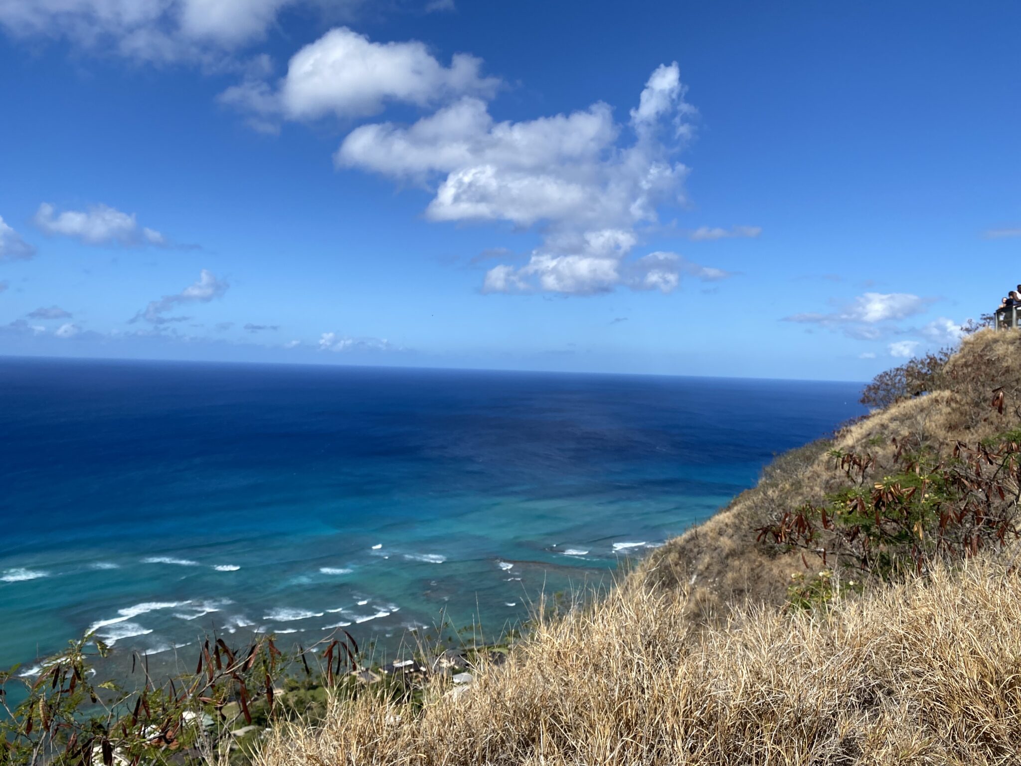 Rich heritage of Diamond head (Lē‘ahi) and FREE Rides with Turtle ...